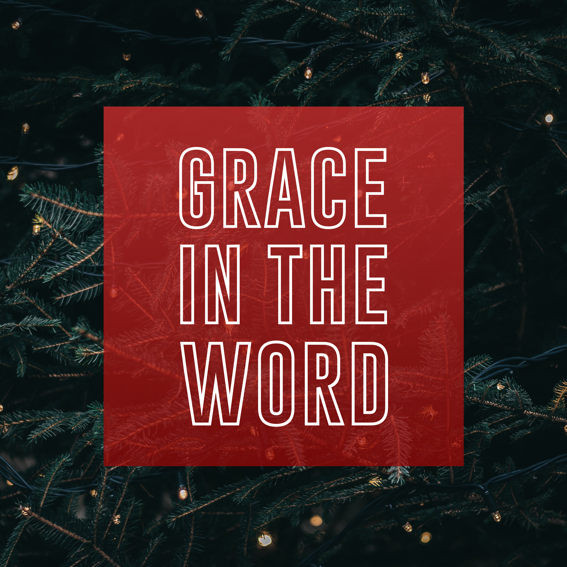 Grace in the Word - Advent 2021 - Week 1 - Grace Community Church